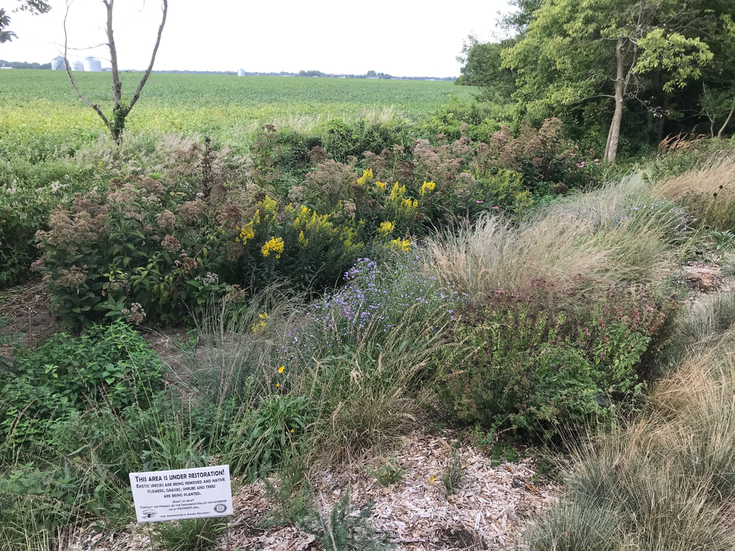 Blog | Sustainable Springfield